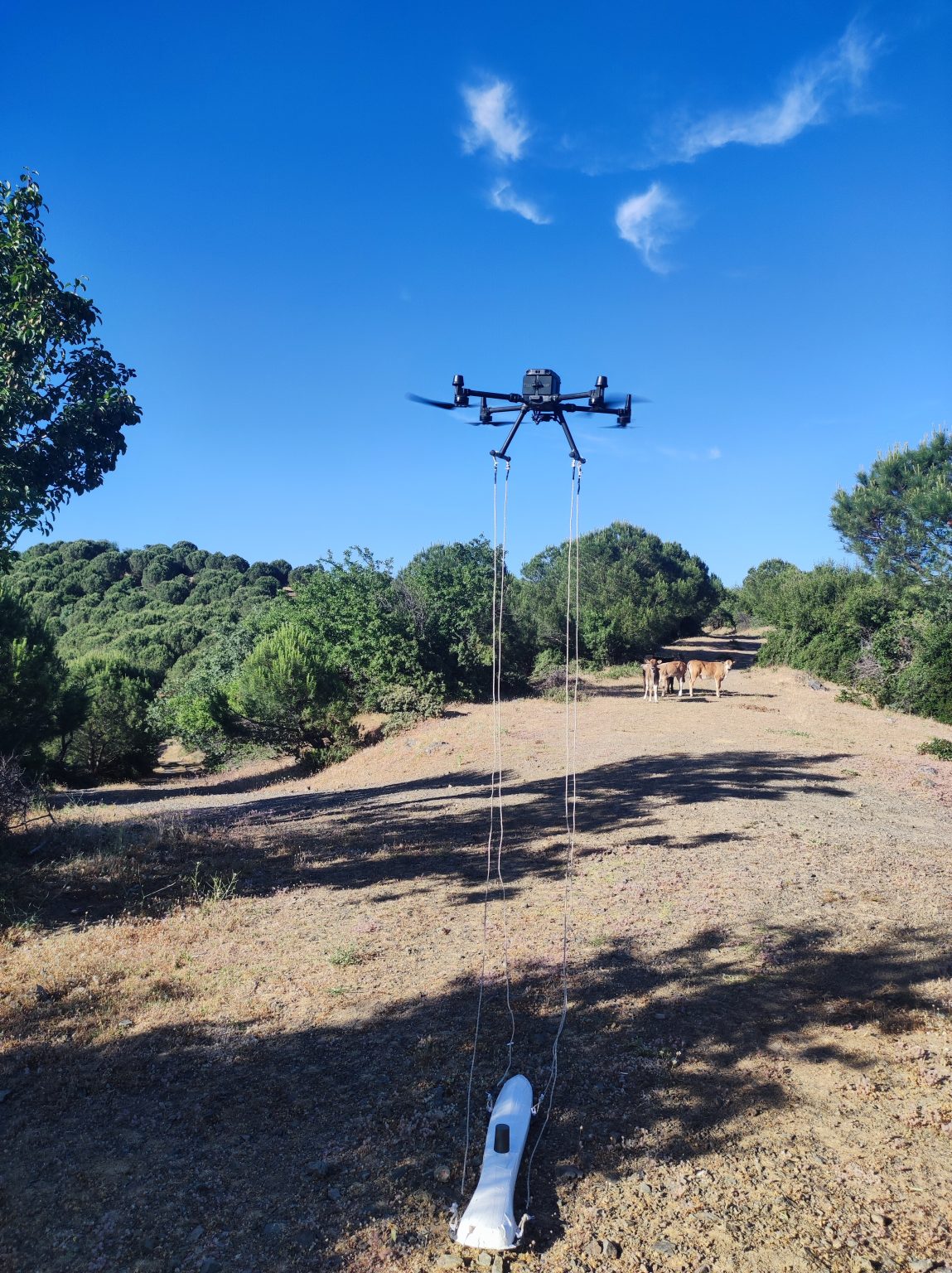 Drone-Based Magnetic Survey - SAGTech Jeofizik